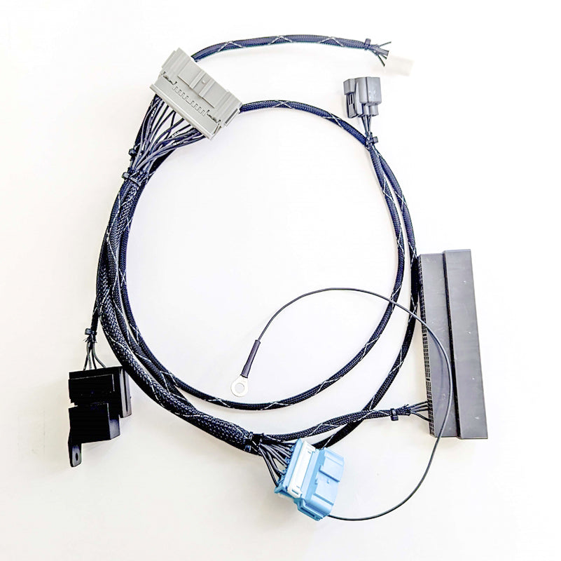 Ballade Sports / Rywire K-Series ECU Conversion Jumper Harness