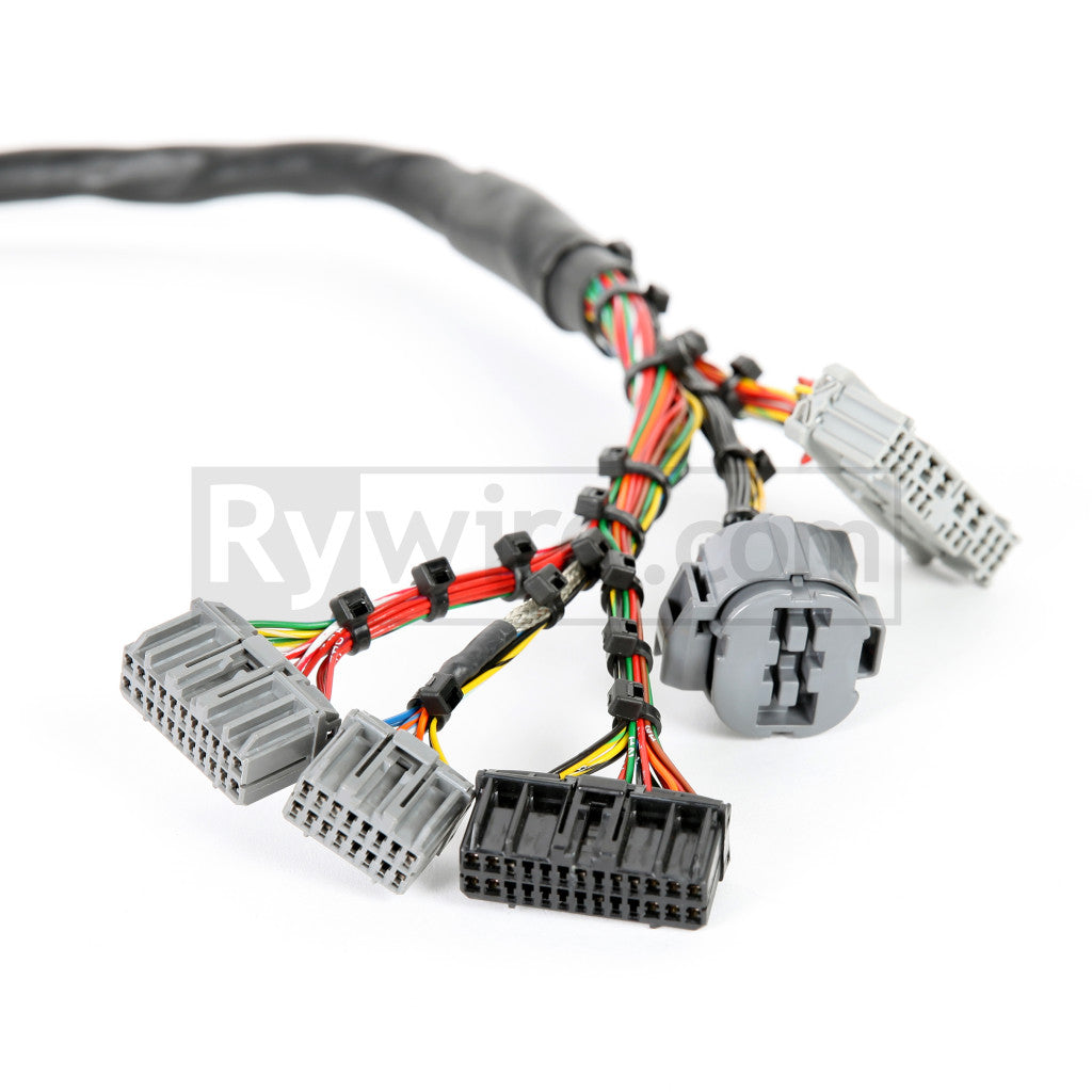 Rywire OBD2 Mil-Spec D & B-Series Tucked Engine harness – Ballade Sports
